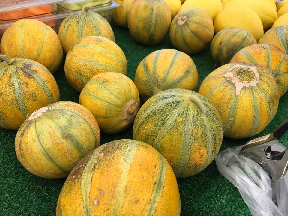 melons