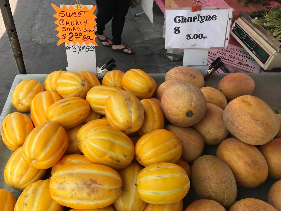 melons