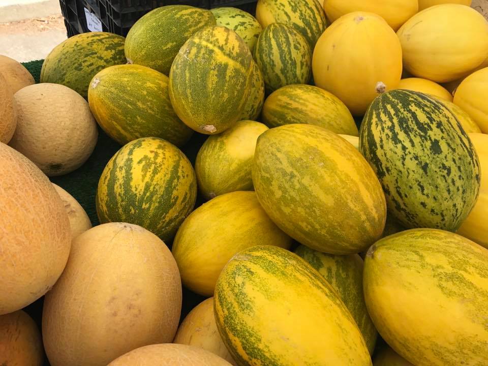 melons